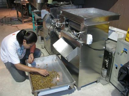 Small Scale Olive Cracking Machine